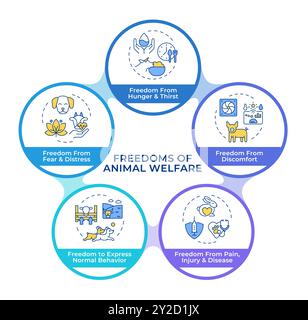 Animal farming infographic circles flowchart Stock Vector Image & Art ...
