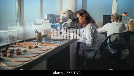 Female chemist or microbiologist conducts fossil analysis under ...