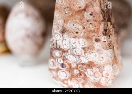 Birds eye rhyolite for sale in Utah rock shop Stock Photo - Alamy