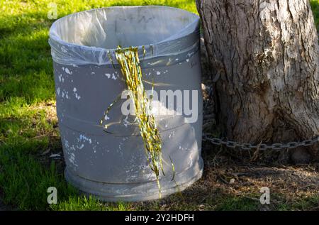 gold celebratory party streamers thrown away in outdoor trash can Stock ...
