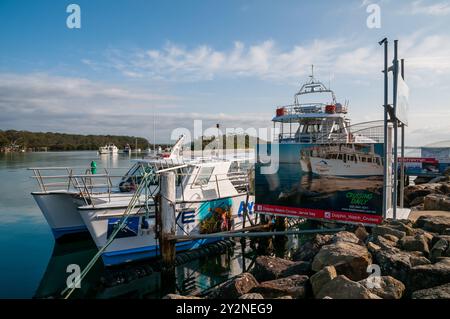 diving boat moored, Huskisson, NSW, Australia Stock Photo - Alamy
