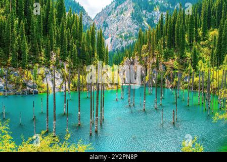 Kaindy Lake in Tien Shan mountain, Kazakhstan Stock Photo - Alamy