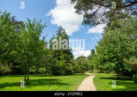 A footpath through Horningsham Country Park near Shear Water, Wiltshire ...