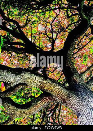 trunk, beautiful park with leafy trees Stock Photo - Alamy