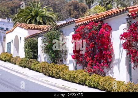 Scenic colorful streets of Avalon in Catalina Island in California, USA ...