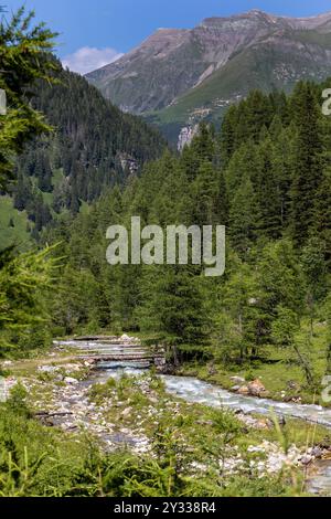 beautiful flowing stream during the summer Stock Photo - Alamy