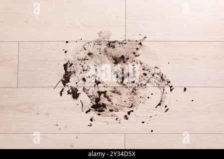 Mud stain on wooden floor indoors, closeup Stock Photo - Alamy