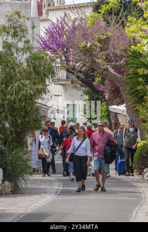 Capri Italy to many tourists Stock Photo - Alamy
