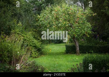 idyllic autumn backyard with plants and tree with golden and orange ...