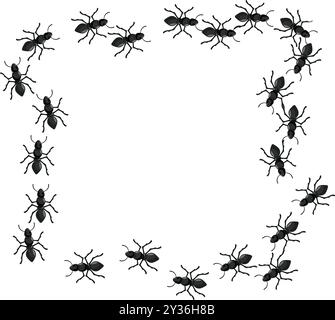 Black ants square border. Ants forming messy rectangular shape isolated in white background ...