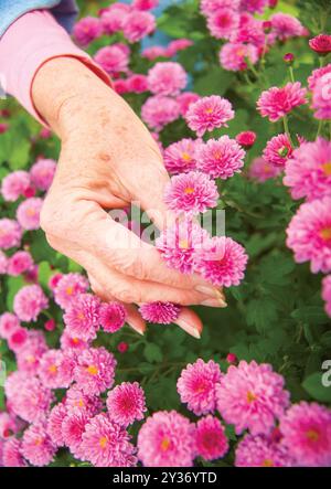 Mums love flowers Stock Photo - Alamy