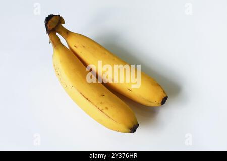 Close up of a couple of ripe bananas that are isolated on a yellow ...