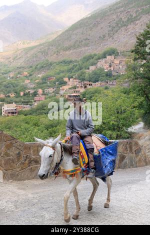 Small rural village on the river banks of Amazon river in Brazil Stock ...