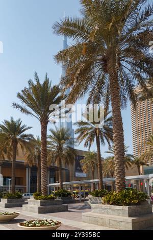 The Dubai Mall entrance with palm trees and a fountain, United Arab ...