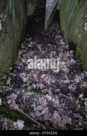 ww2 bunker door Stock Photo - Alamy