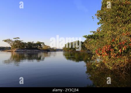 Sky and trees reflecting in the Juruena river, Alta Floresta, Amazon ...