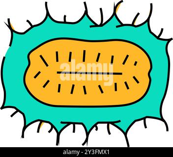 cucumber anguria icon color illustration Stock Vector Image & Art - Alamy
