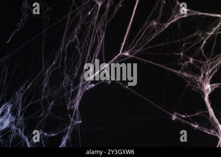 Cobweb against black background, toned in gradient red color. Space for ...