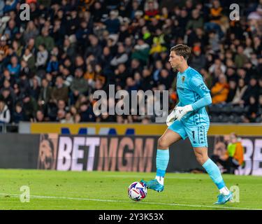 Hull City goalkeeper Ivor Pandur during the Sky Bet Championship match ...