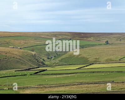A panoramic sunlit pennine landscape with small valleys between rolling ...