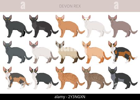 Devon Rex Cat clipart. All coat colors set. All cat breeds ...