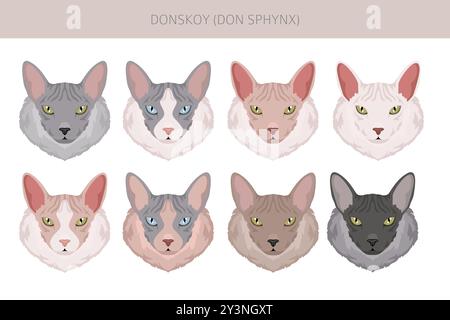 Donskoy, Don Sphynx Cat clipart. All coat colors set. All cat breeds ...