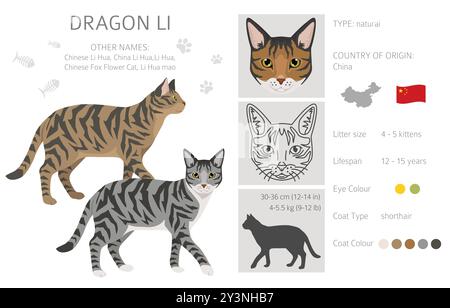 Chinese Dragon Li Cat clipart. All coat colors set. All cat breeds ...
