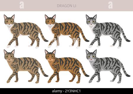 Chinese Dragon Li Cat clipart. All coat colors set. All cat breeds ...