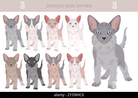 Donskoy, Don Sphynx Cat clipart. All coat colors set. All cat breeds ...