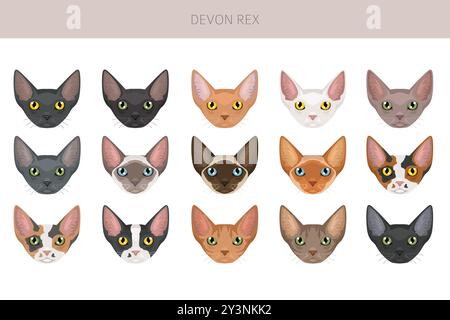 Devon Rex Cat clipart. All coat colors set. All cat breeds ...