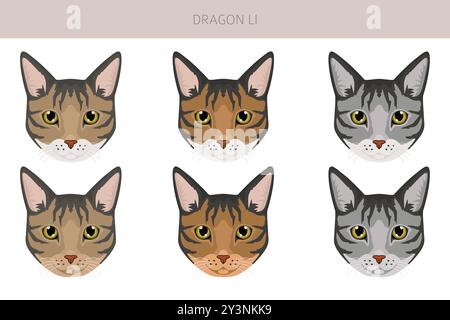 Chinese Dragon Li Cat clipart. All coat colors set. All cat breeds ...