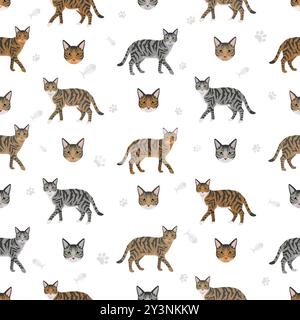 Chinese Dragon Li Cat clipart. All coat colors set. All cat breeds ...