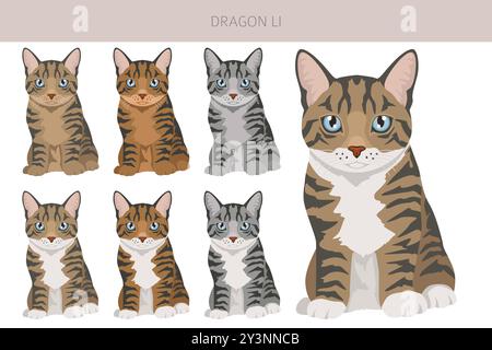 Chinese Dragon Li Cat clipart. All coat colors set. All cat breeds ...