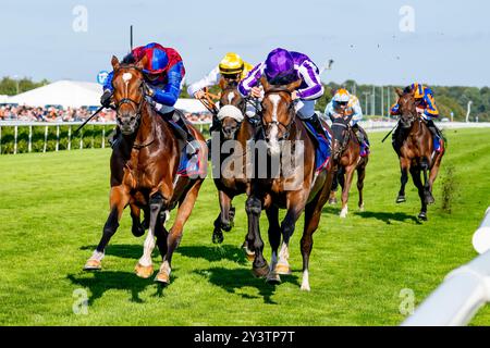 Jan Brueghel - A P OBrien - Sean Levey - St Leger 2024 - Doncaster ...