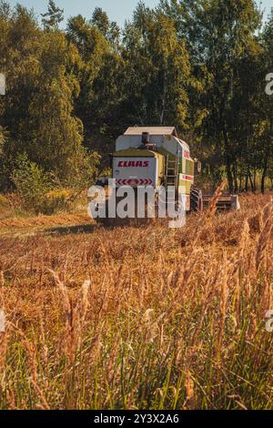 A yellow combine harvester operates in a field of barley. Green trees ...