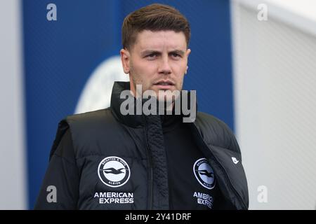 Brighton and Hove Albion manager Fabian Hurzeler on the pitch after the ...