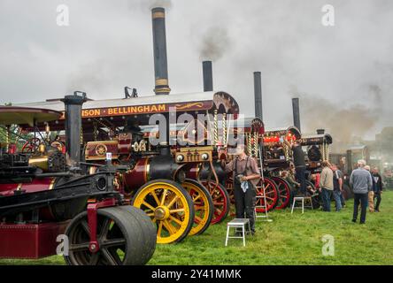 Steam tractors at the 37th Hunton Steam Gathering, 2024, Wensleydale ...