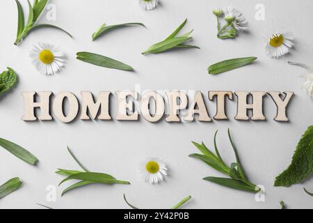 Word Homeopathy and medicinal herbs on white background, flat lay Stock ...