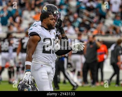 Jacksonville Jaguars safety Daniel Thomas (20) warms up before the NFL ...