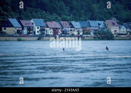 Bad Schandau, Germany. 16th Jan, 2026. Ice floes pile up on the banks ...