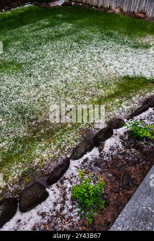 Australian backyard covered in hail with lawn and tropical plants ...