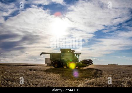 North Dakota farming and harvesting Stock Photo - Alamy