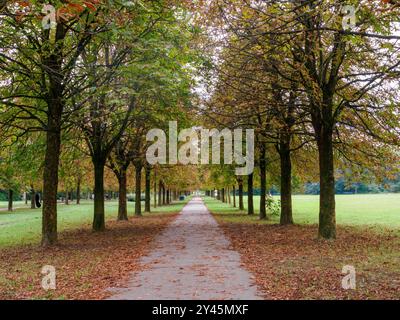 Parco Nord, public park in Milan, Lombardy, Italy, in September Stock ...