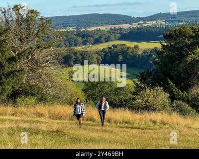 Beautiful view of Newlands Corner in Surrey England Stock Photo - Alamy