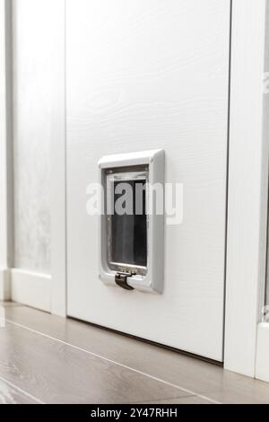 Pet door, cat hatch, a flap is built into the door of the apartment for ...
