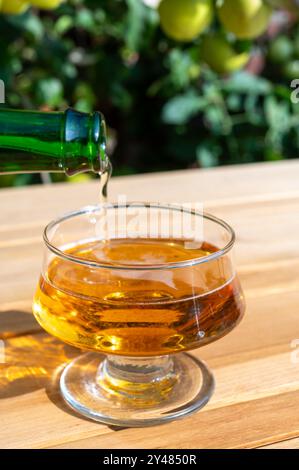 man with a bottle and glass of cider, apples at background Stock Photo ...