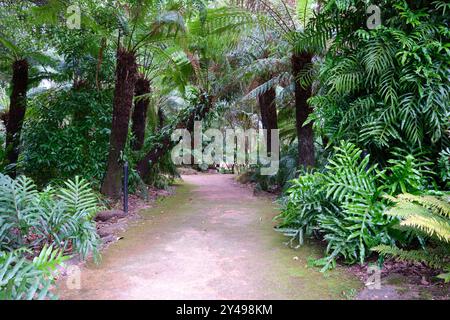 Geelong Botanic Gardens, in Victoria, Australia Stock Photo - Alamy