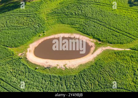 Aerial view of a farm dam surrounded by a lush green pasture at ...