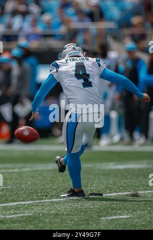 Carolina Panthers place kicker Eddy Pineiro (4) lines up a field goal ...