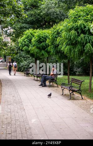 Novi Sad Deutschland *** Novi Sad Germany Stock Photo - Alamy